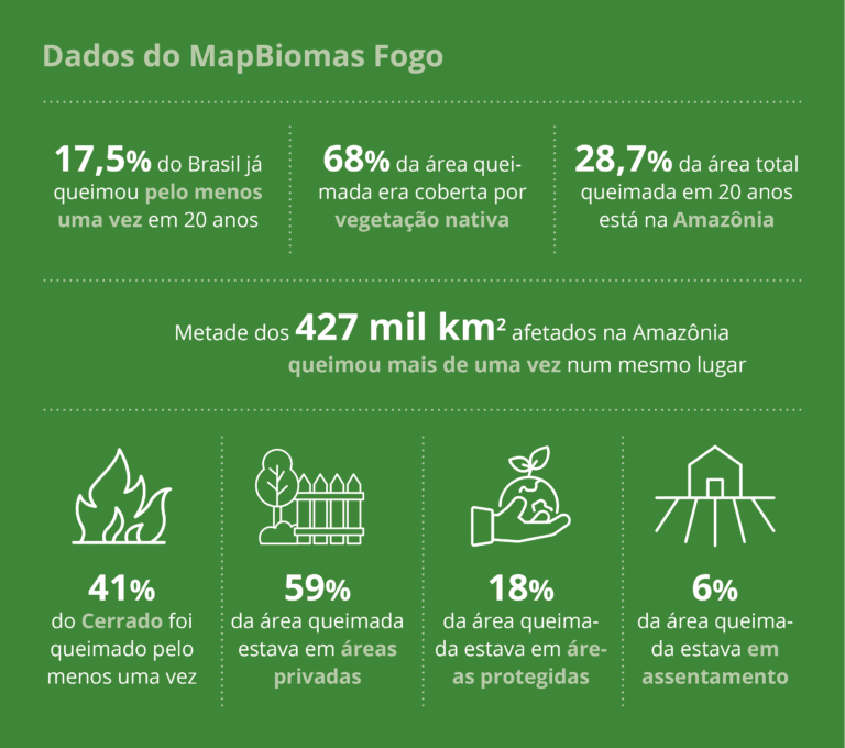 MapBiomas lança iniciativa que mapeia queimada nos últimos 20 anos