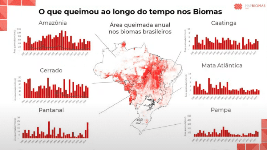 MapBiomas lança série de dados sobre o impacto do fogo nos biomas
